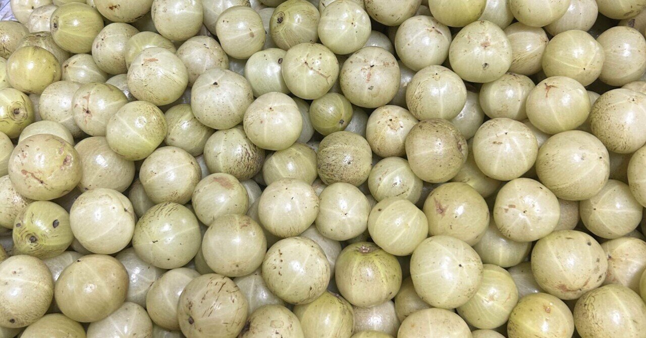 アーユルヴェーダにおける体質（プラクリティ）のこと｜anariza