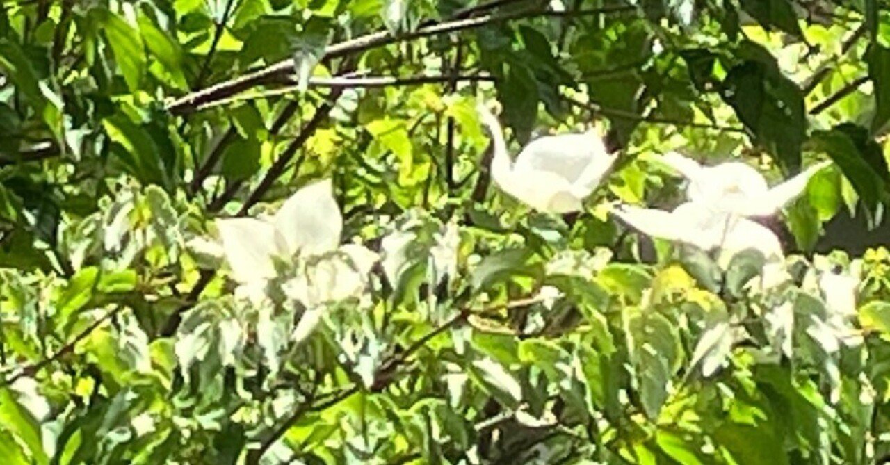 ふと・・・思う｜poporin