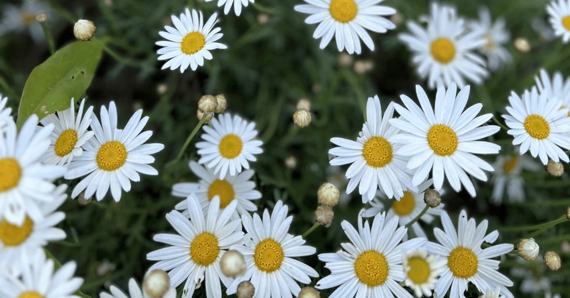 Megumi Nishida｜note