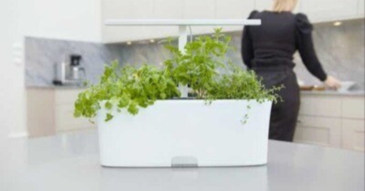 自宅で気軽に家庭菜園、自動給水の水耕栽培キット「Botanium Vega」｜bouncy / バウンシー