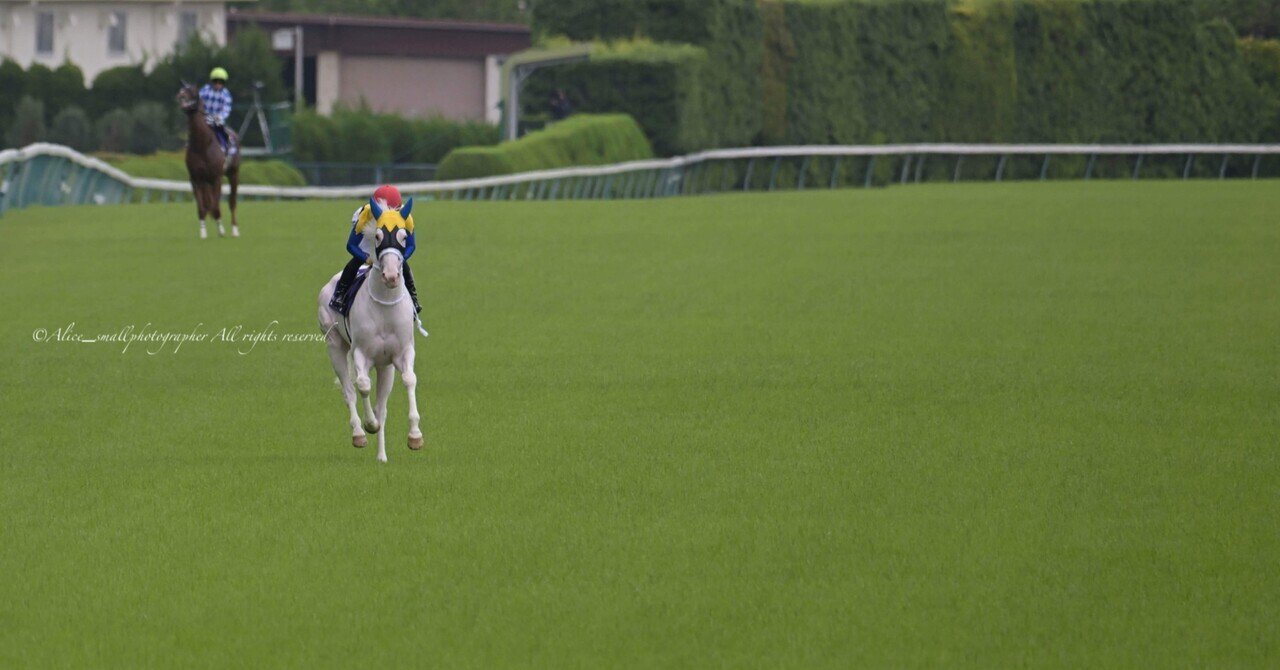 【Nikkor Z400mm f/4.5】撮影機材において『軽さは正義』か？｜Alice_photolog