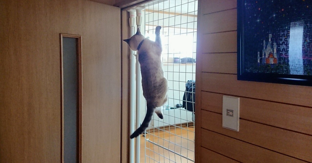 奇跡講座WB実践340 今日、私は苦しみから自由になれる｜(Linp&Ruru)本当の自分を知り、本当の自分として生きる