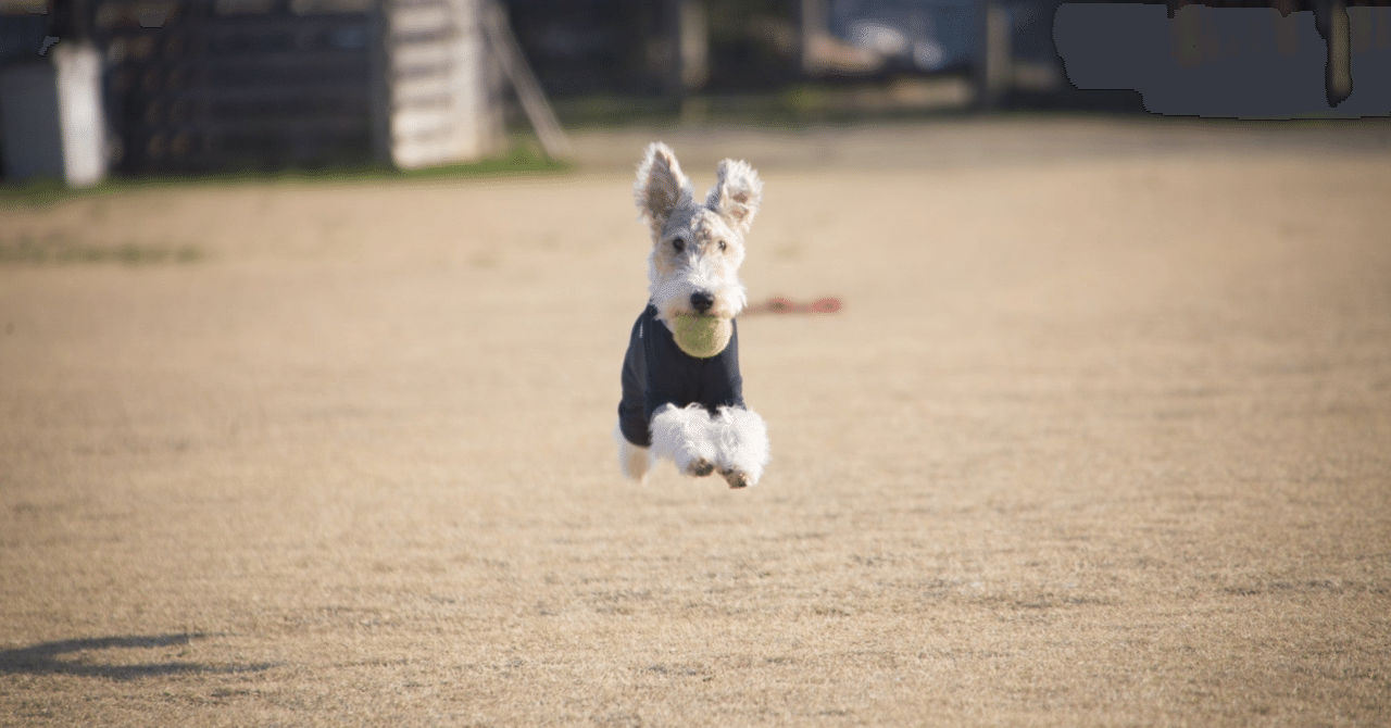 行動する勇気をくれた人｜Riho