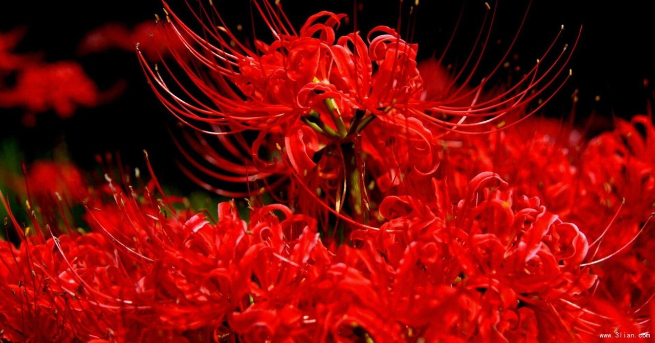 過去の自分 Part 3 ｜Motchy