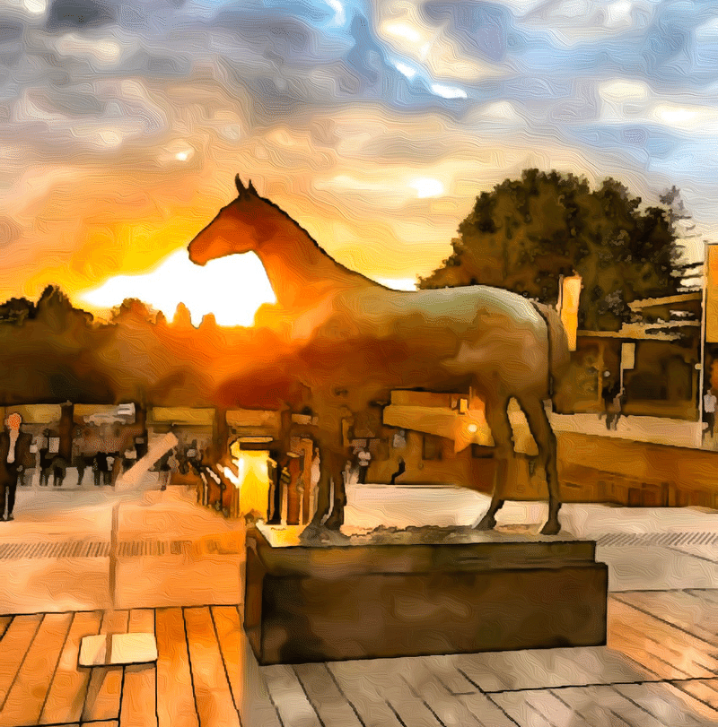 ⑰ 遠征｜AKIRARIKA