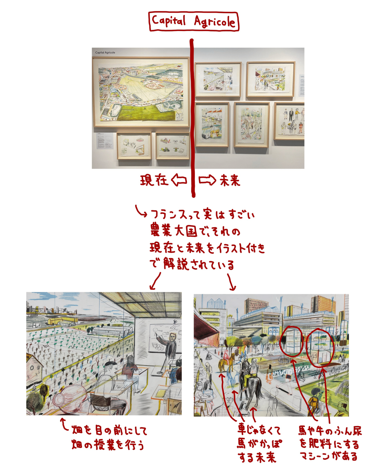 【レビュー】How is Life?—地球と生きるためのデザイン展｜いもづるしきのーと | IMO NOTE