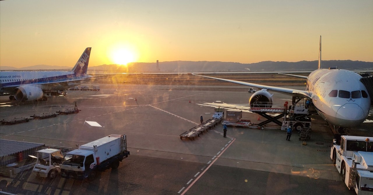 今まで飛び込まなかったことに飛び込んでよかった。｜Manami Taniguchi