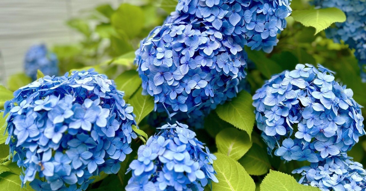 【詩】読む｜ayano_leizen 冷泉文野