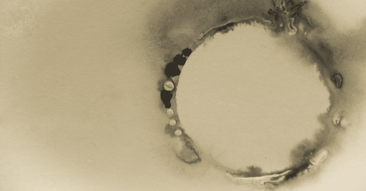 PROFILE｜花田千絵子 ｜ Chieko Hanada