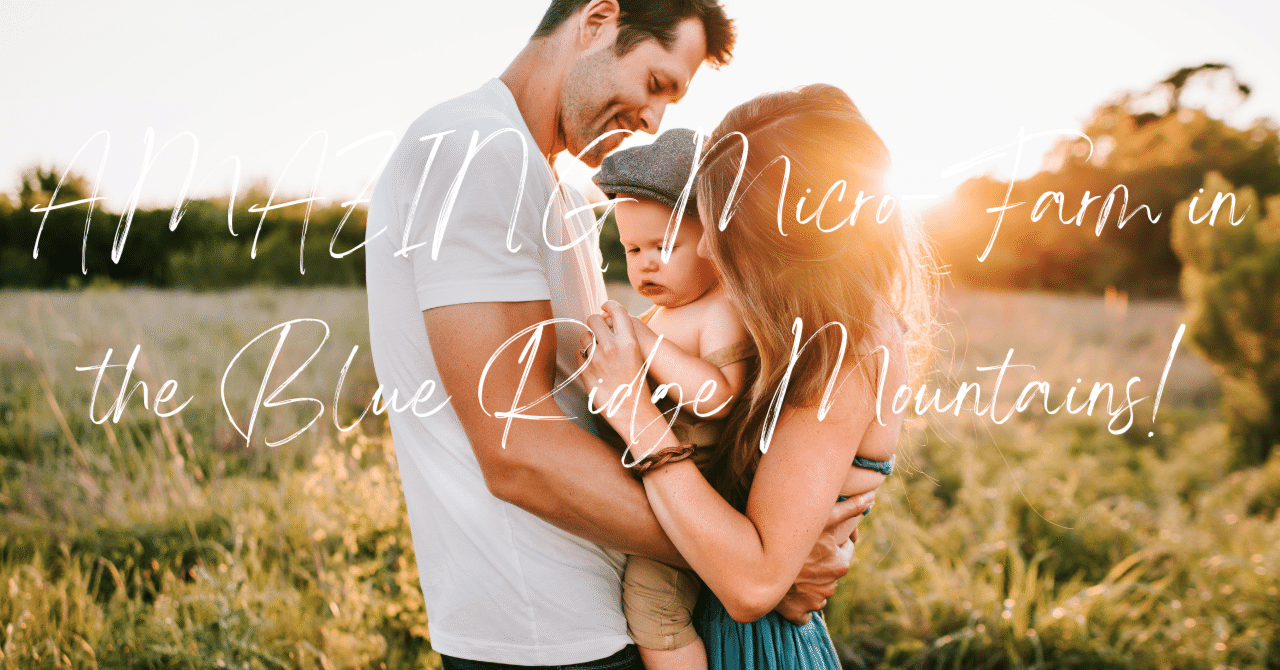 中山間地で幸せな農業を実践するアメリカの小規模農家 Red Fern Farm｜Monkey Gardener/世界の小規模農業研究室