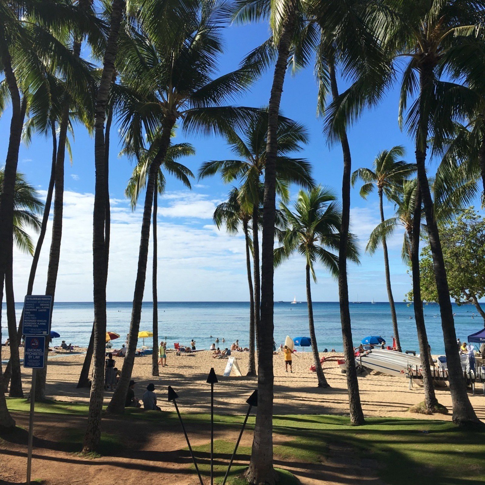 Mayuko_Elegante｜note