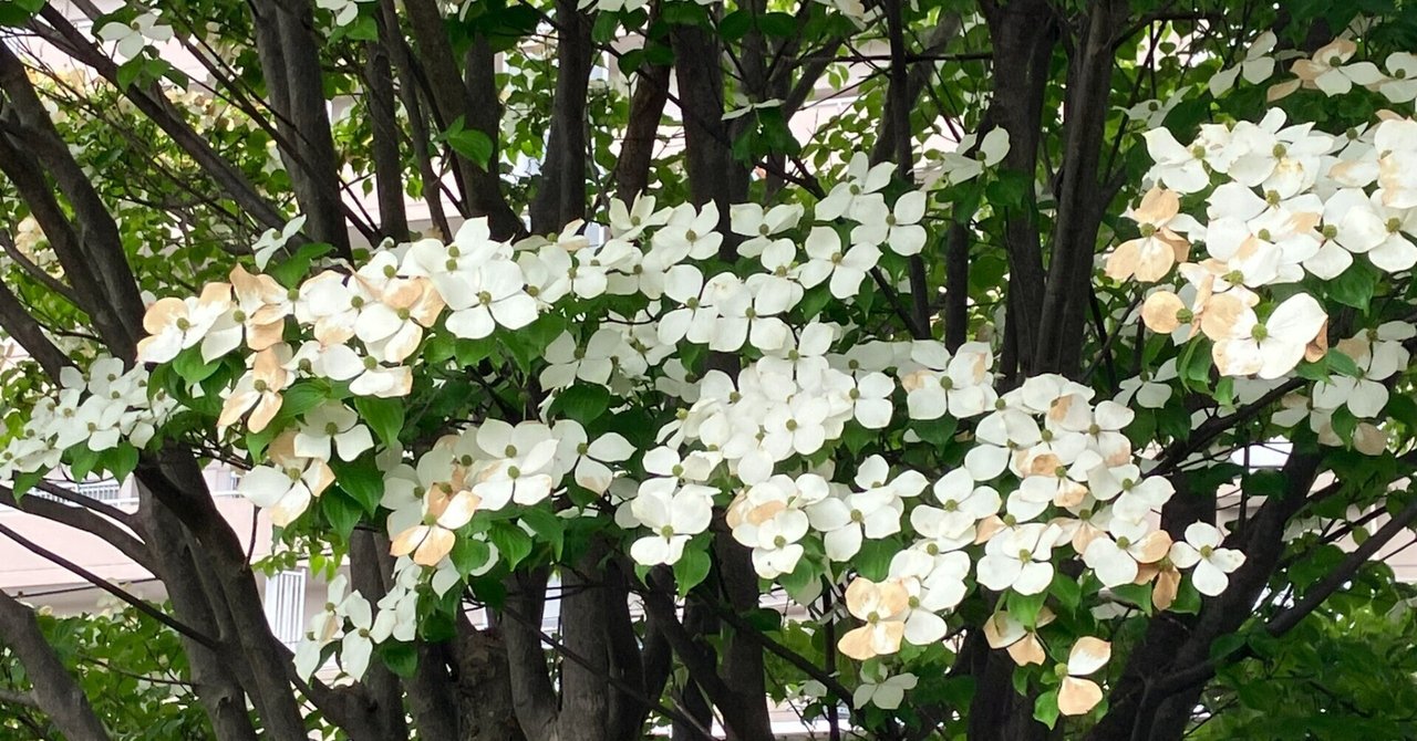 ふと・・・思う｜poporin