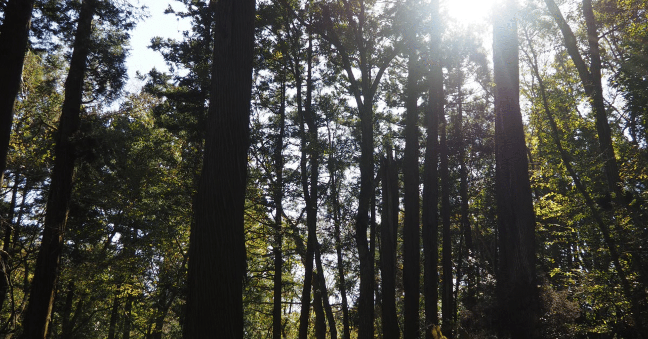 [プチ怪談] ヒトダマ 2｜asumin