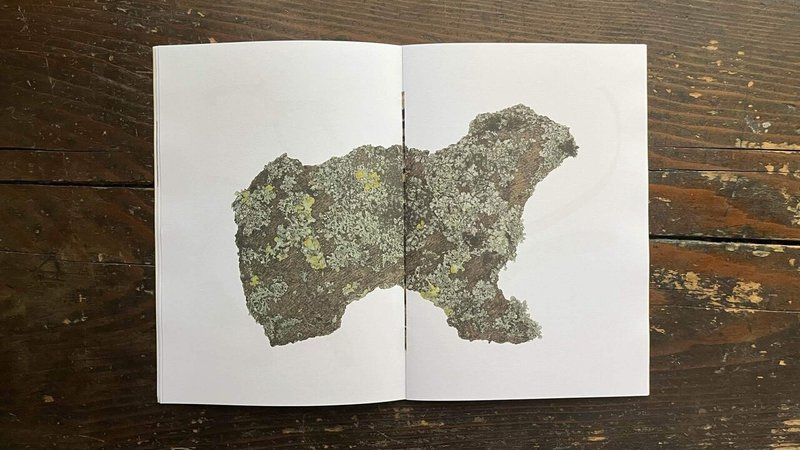 Russell Weekes - Nature Spotting Russell Weekes｜IDEABOOKS JAPAN