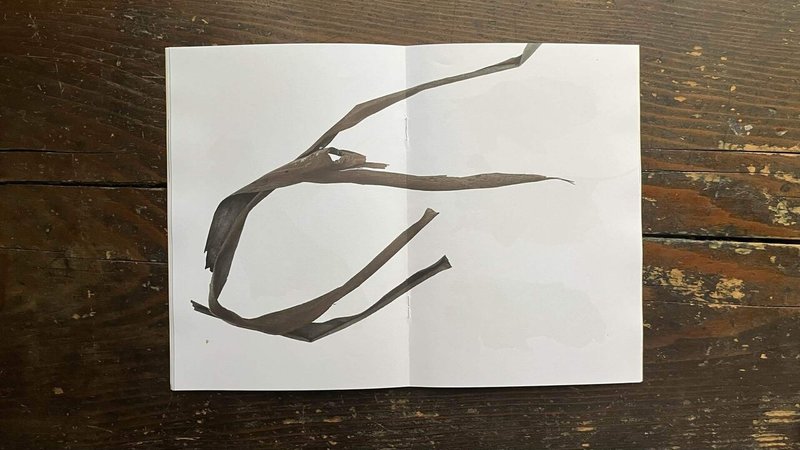 Russell Weekes - Nature Spotting Russell Weekes｜IDEABOOKS JAPAN