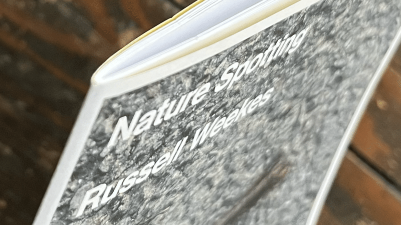 Russell Weekes - Nature Spotting Russell Weekes｜IDEABOOKS JAPAN