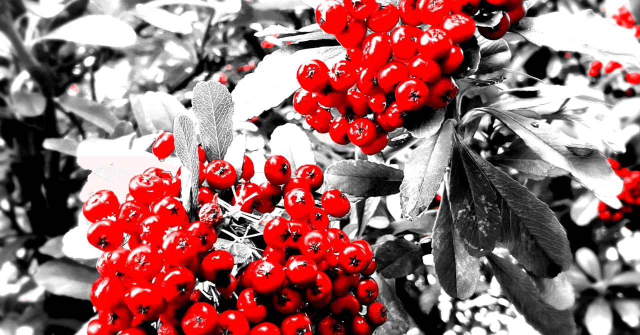 すごい女優さん①｜Natsu.K.