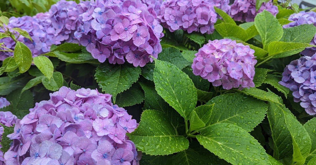 TypeScript 入門の記録（57）プロを目指す人のためのTypeScript入門（41）第5章TypeScriptのクラス｜jnkykn