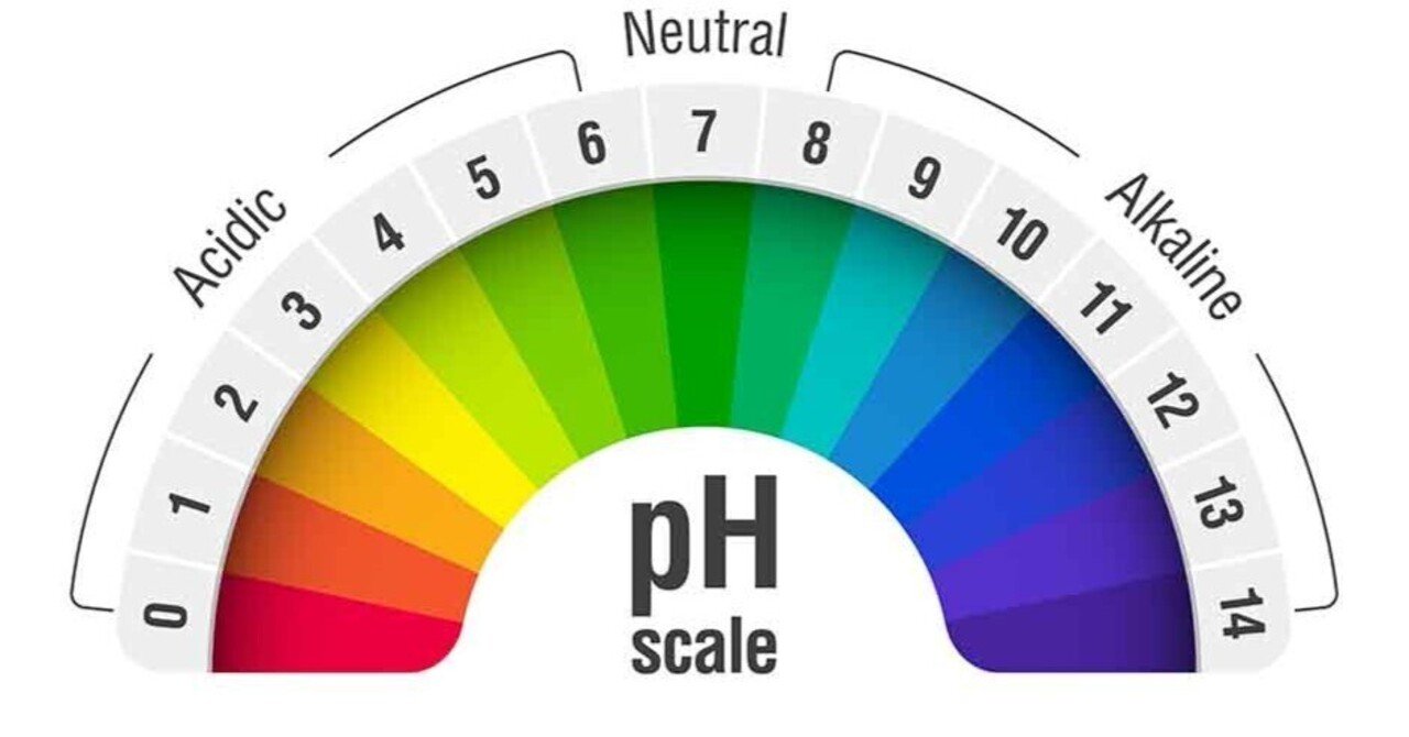 pHについて｜サルモ