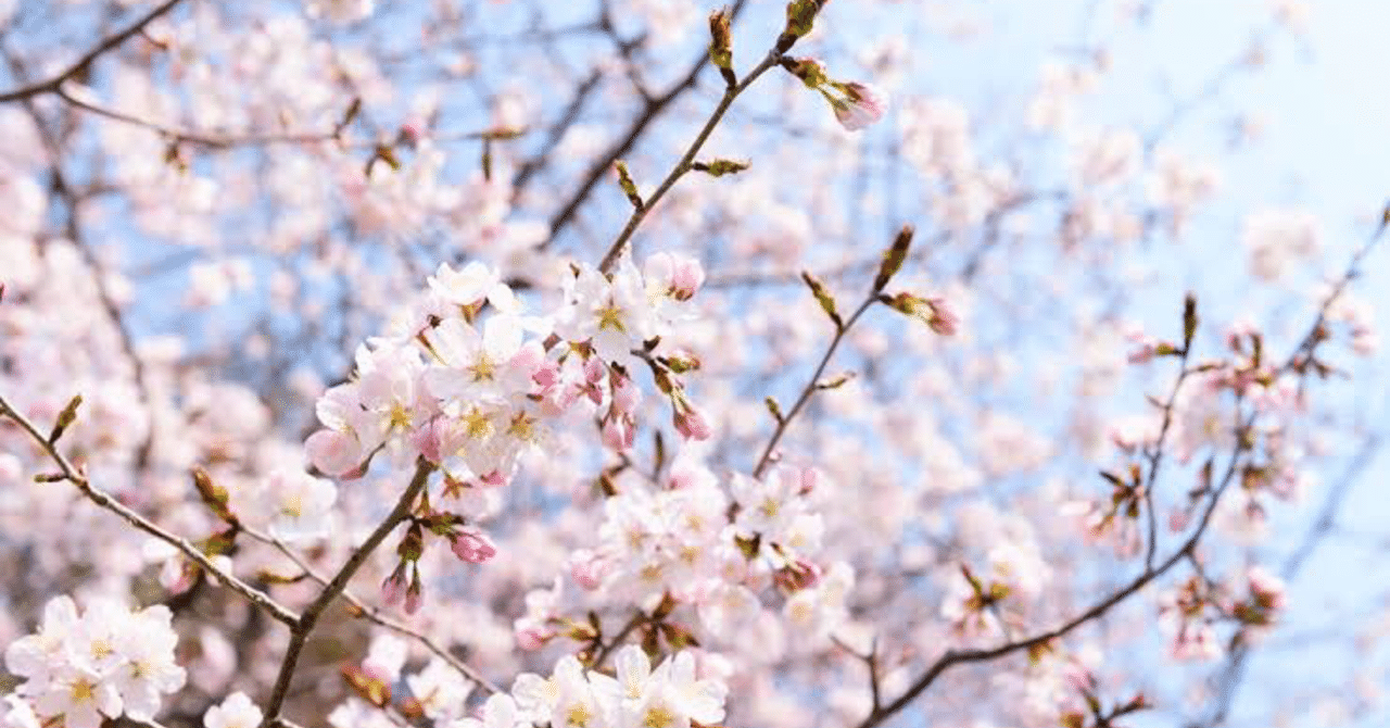 新生活がはじまる｜渡邉 洸（Ko Watanabe