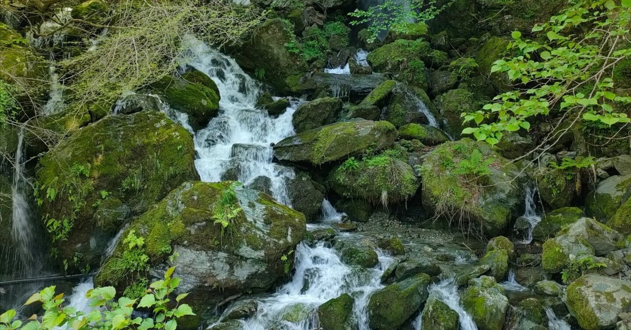 自分の感情を蓋をしない大切さ｜Manami Taniguchi
