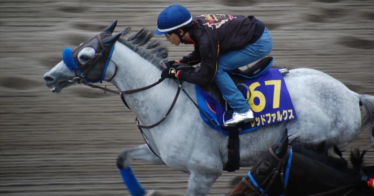 東京サラブレッドクラブ 2023募集馬(2022年産)AI馬体診断｜Koji Maeda