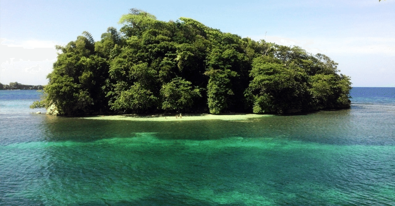 デジタル混入島【毎週ショートショートnote】｜amanatz