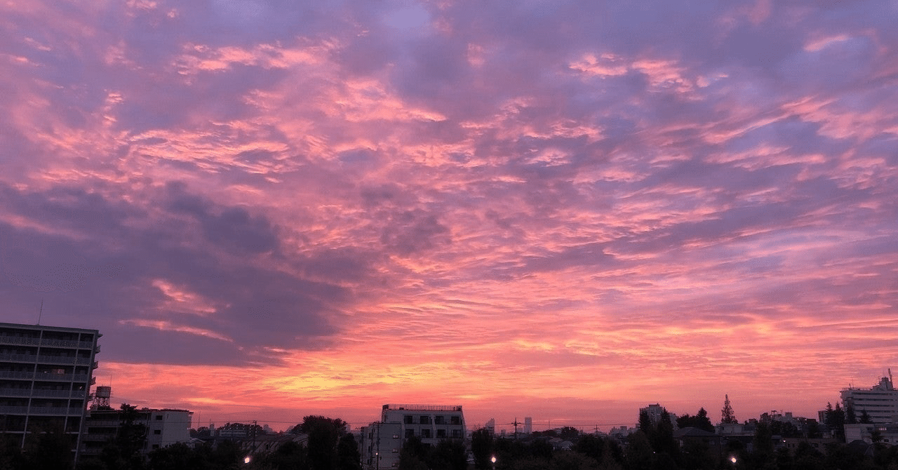 6/14 川崎競馬7-12R｜ほの@競馬予想