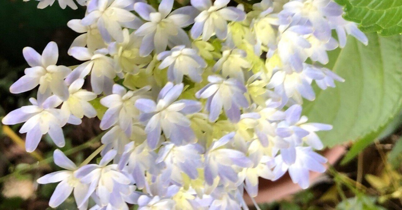 ふと・・・思う｜poporin