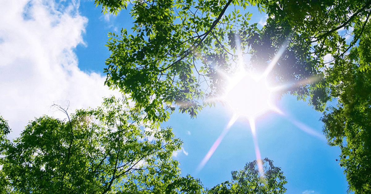 共済保険MLMやっぱりダメ？｜moco moco