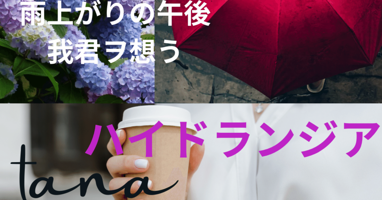 ハイドランジア｜tana_life