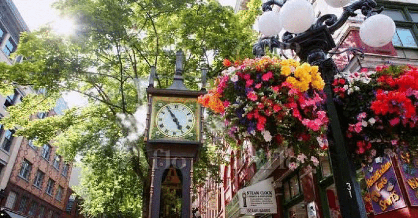 英語コーチKonomi｜note