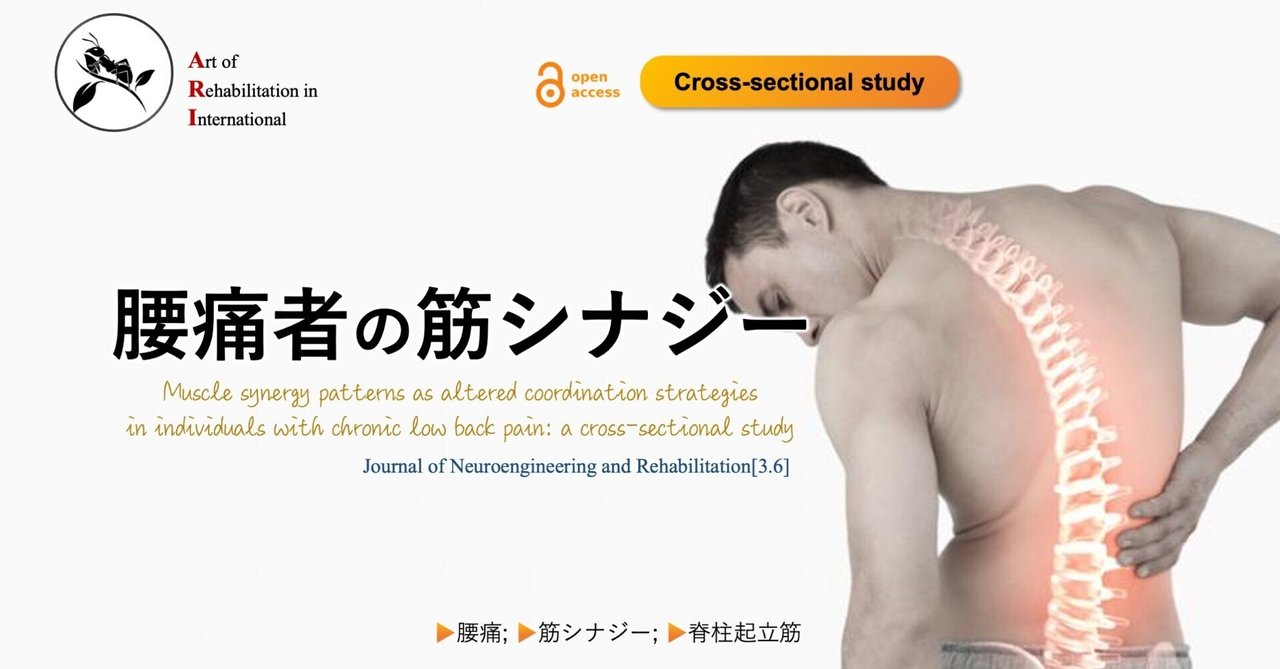 腰痛者の筋シナジー|super Human 理学療法士/保健学博士 Phd