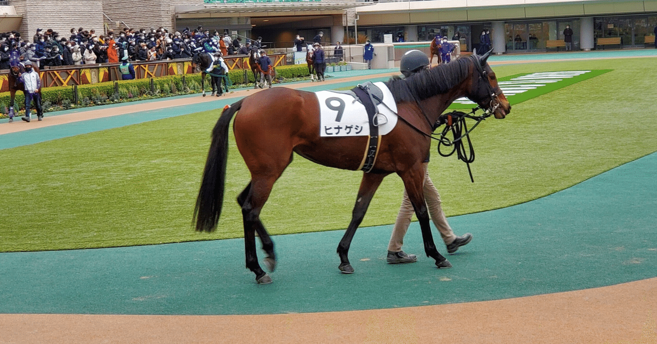 競馬番組･･･鉄の掟 宝塚記念No.2｜shige