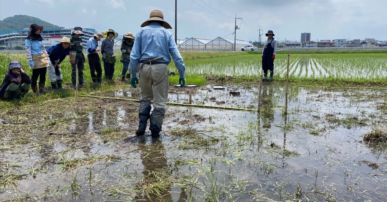 令和5年6月15日木曜日（旧暦卯月廿七日）｜nakano michiko