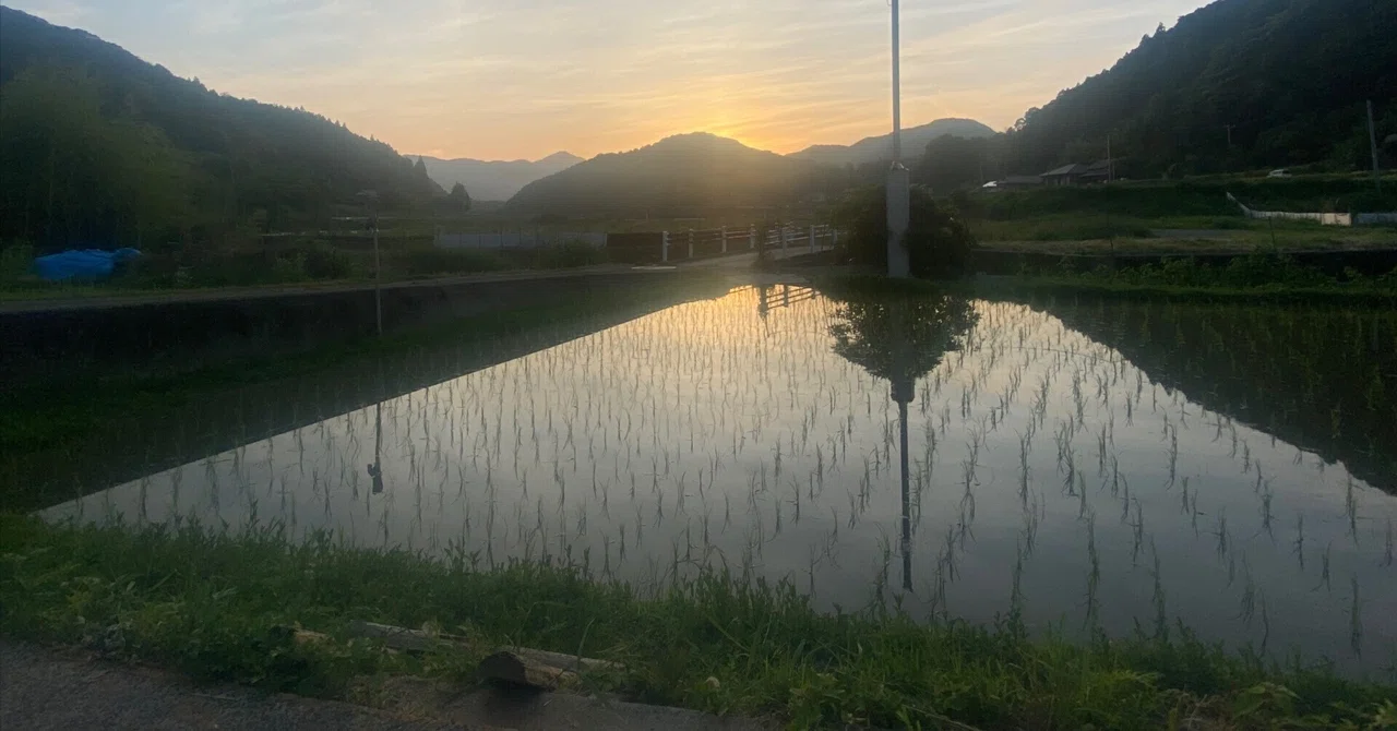 令和5年6月9日金曜日(旧暦卯月廿一日) 田の守りをするということ 自分の中に全てがある 鹿を素手で 蛍 ｜nakano michiko
