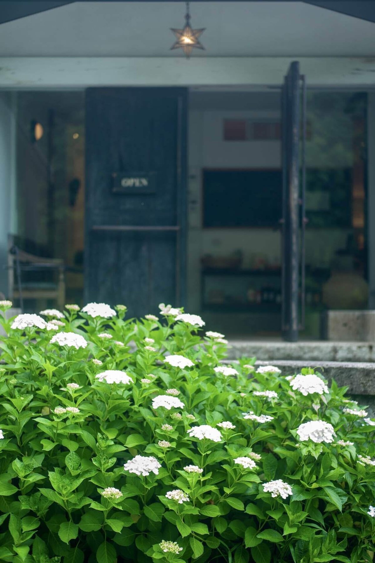 Mの旅 前編｜kuno_yasuhiro