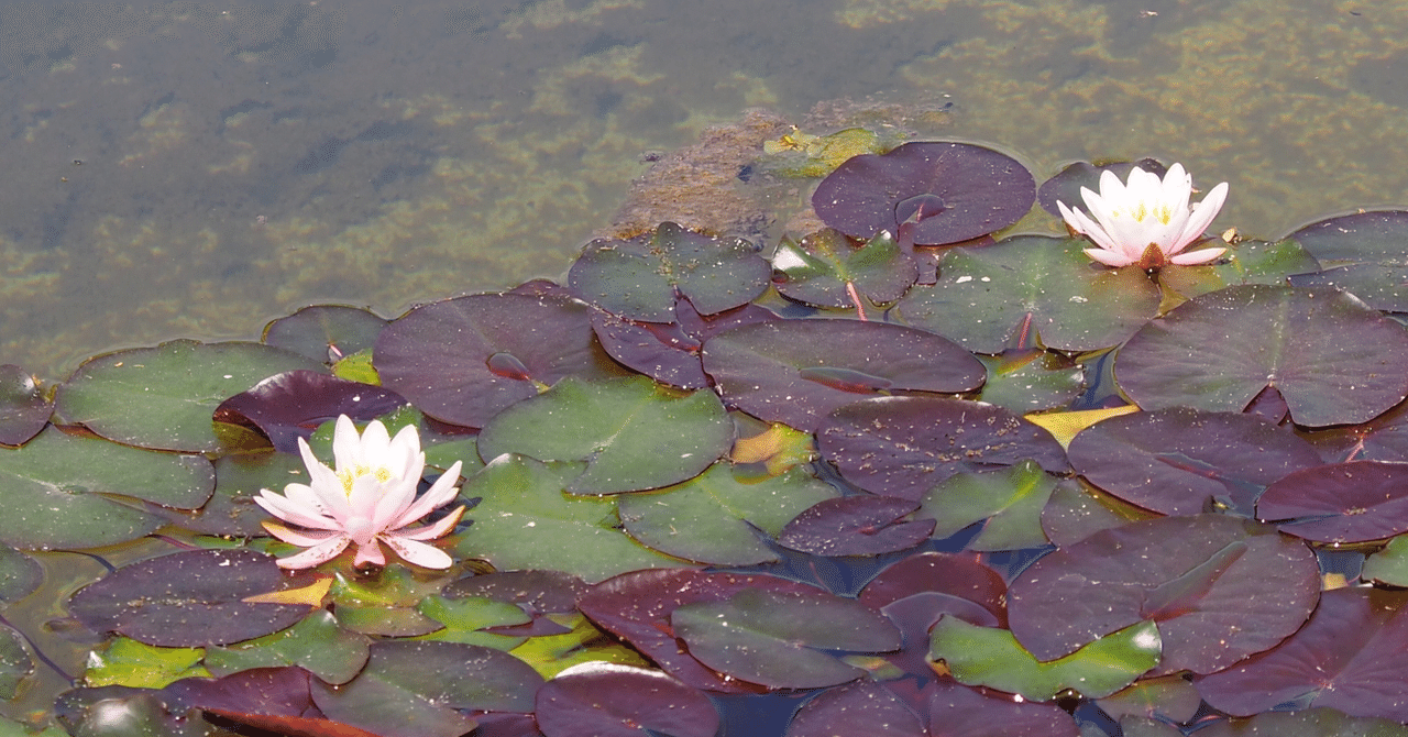 自分の中の子供が騒いでる｜gorogoro_99