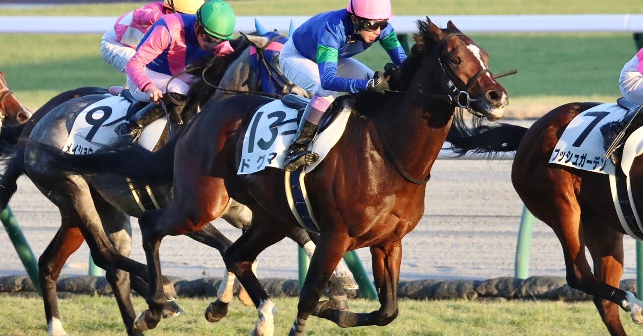 【出資馬】6/18 函館11R UHB杯 ドグマ｜じゃんぽけ