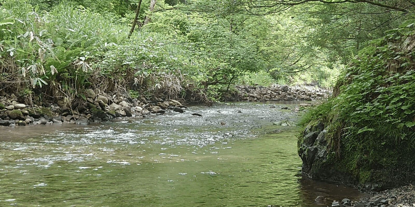 𝕁𝕒𝕕𝕖-𝕨𝕠𝕝𝕗｜note