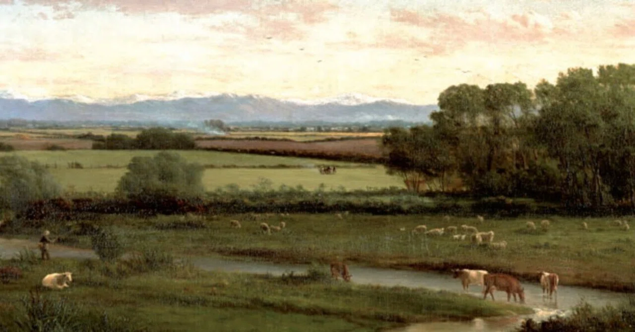 Idyllic life｜gloomydog