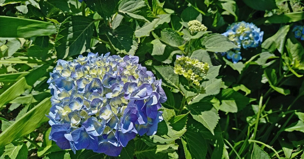 経済的な分野で新たなスタートを切る双子座♊新月【おうし座♉オンリー占い】6月18日日|【おうし座♉オンリー占い】