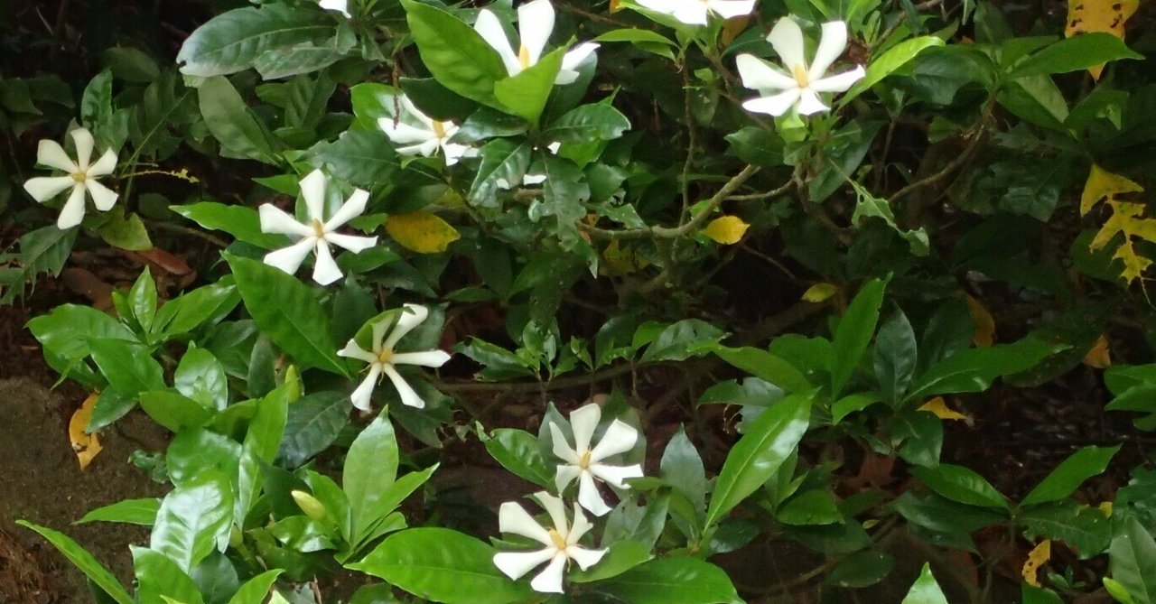 ごあいさつ｜Tetsuya Maeda