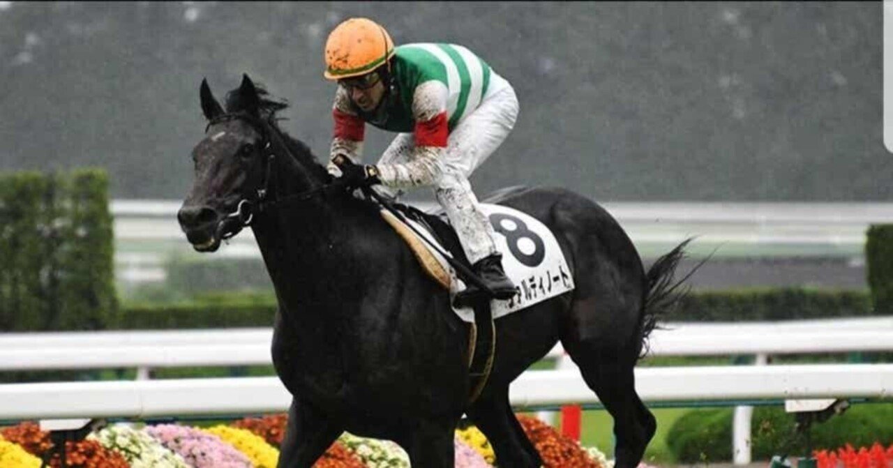 618 中央競馬の推奨穴馬･大穴🕳️＆その他の印と推奨買い目🔥｜指数の魔術師｢哲｣