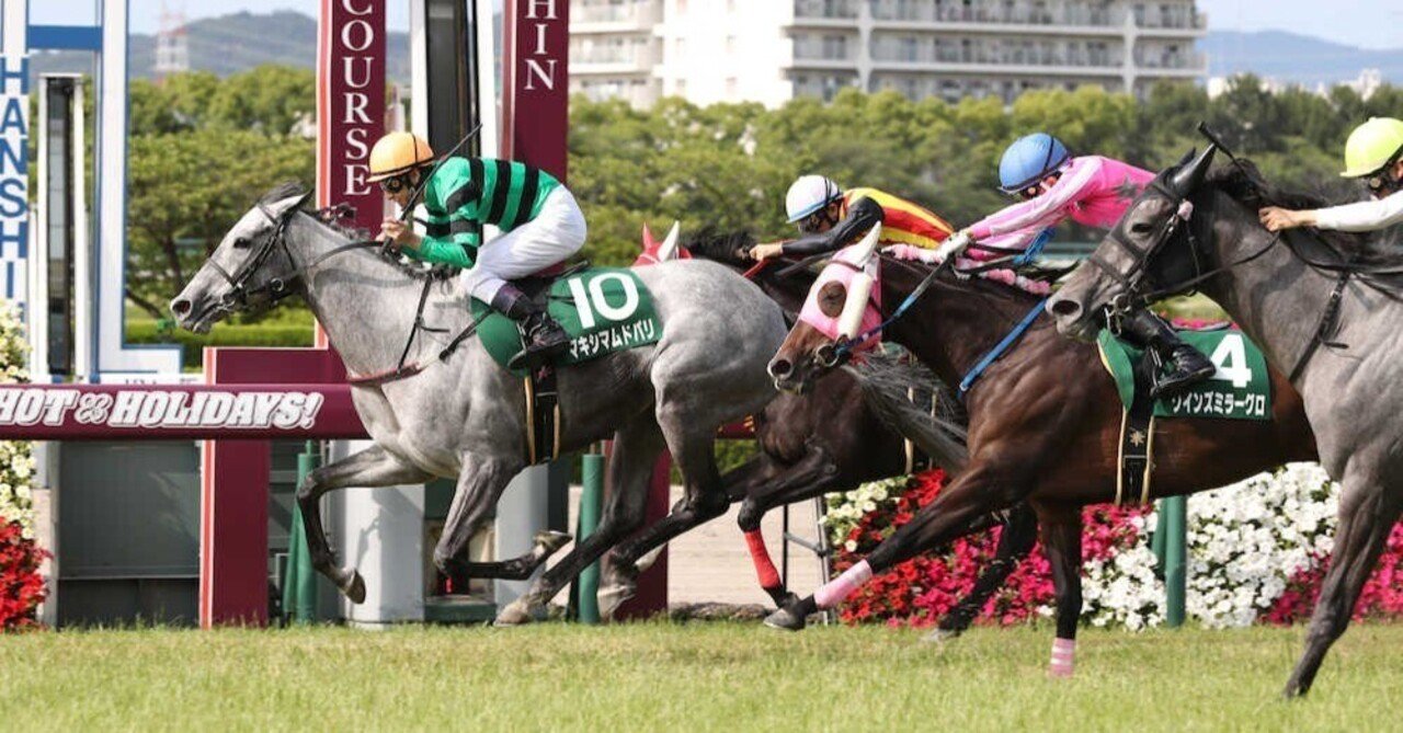 【激熱🔥🔥重賞勝負🔥🚀🚀】マーメイドsgⅢ・ユニコーンsgⅢ💰🌈🌈勝利の鍵はここにあり😤｜さやだま