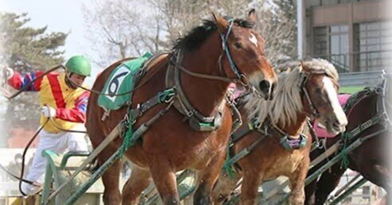 帯広2r 1513締切👑👑素晴らしい状態👑👑｜ばんえい競馬専門🧧極