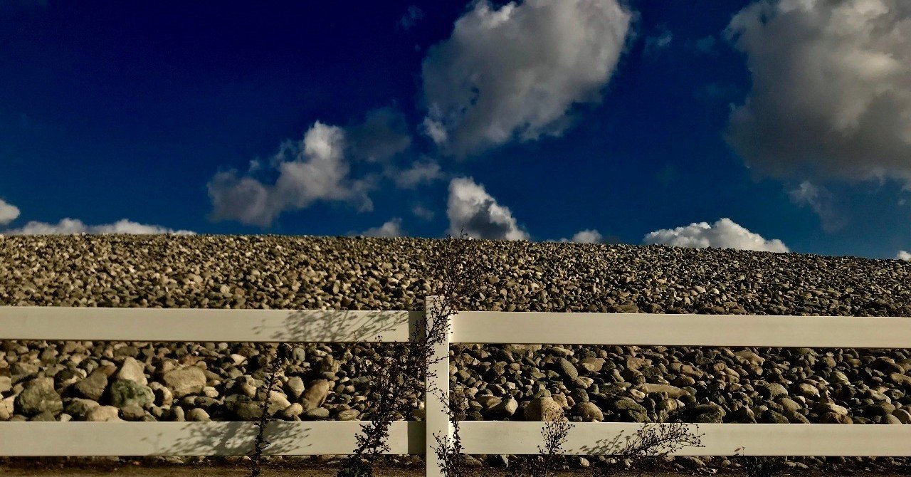 Day 8｜Kanta Kurata