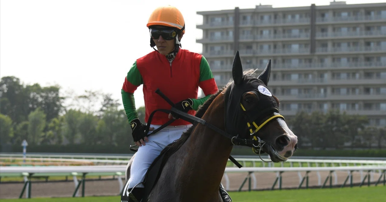 ラフィアンターフマンクラブ 2023募集馬(2022年産)AI馬体診断｜Koji Maeda