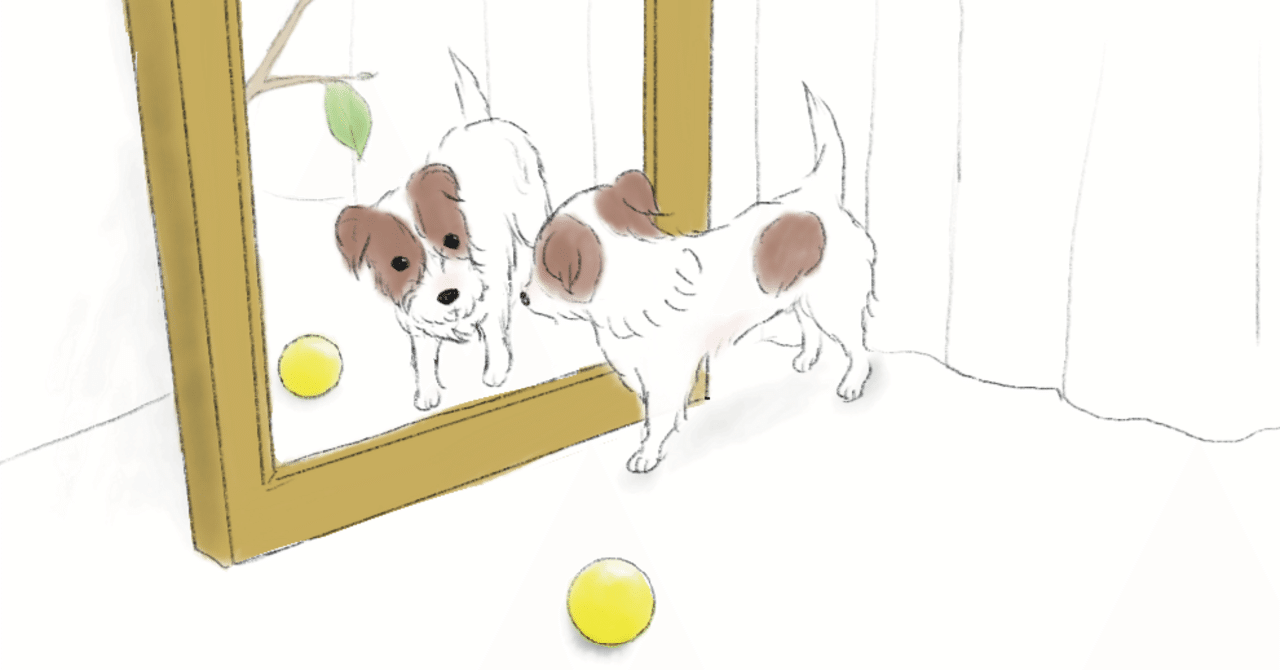 新月の12星座星よみ 2023/6/18-7/2｜note.kaori