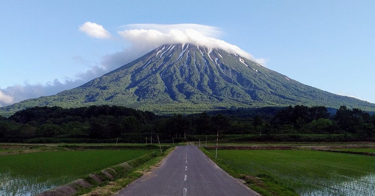 03.2025｜SHEEP＆MOUSE